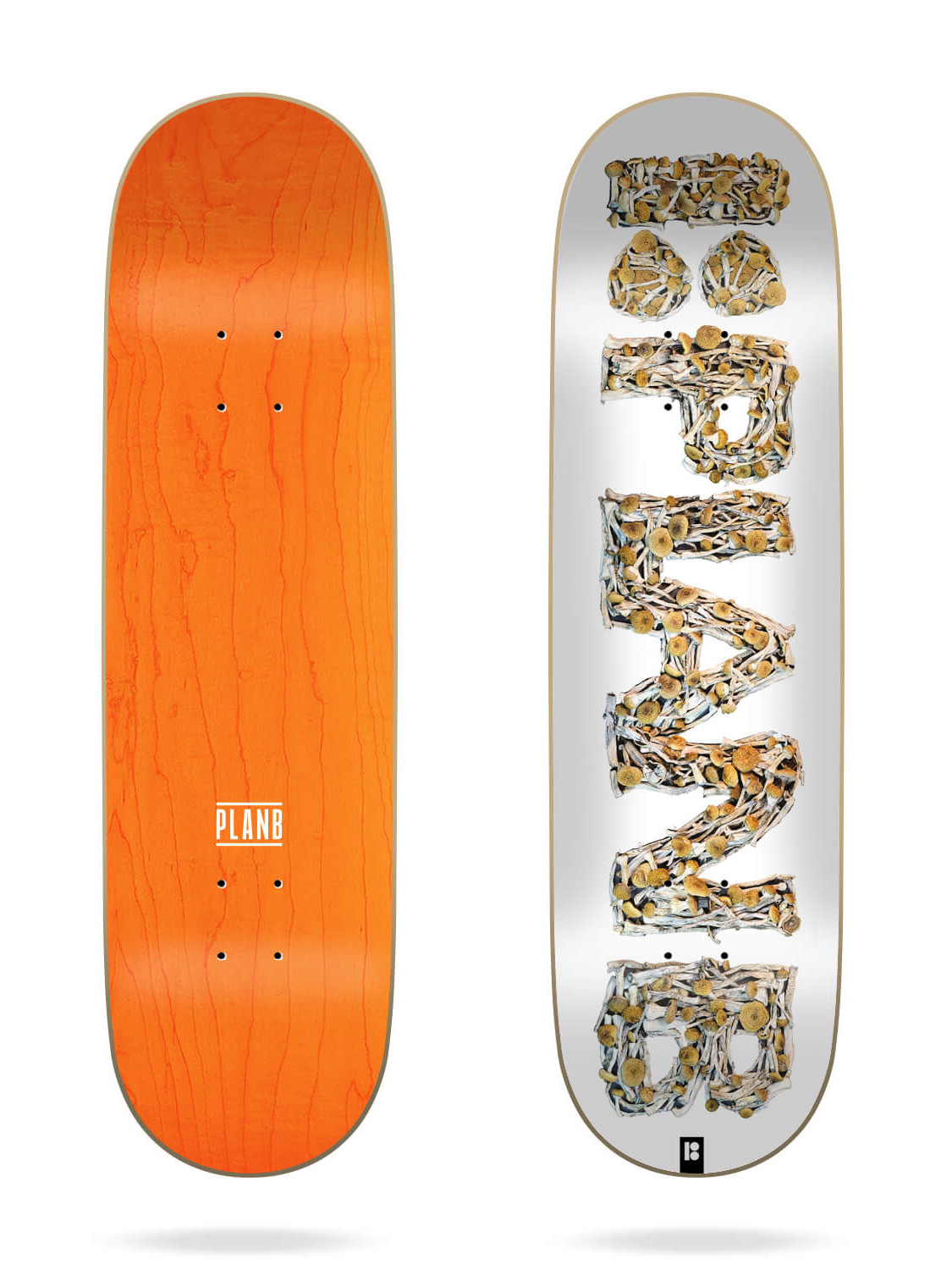 - Plan B Skateboards